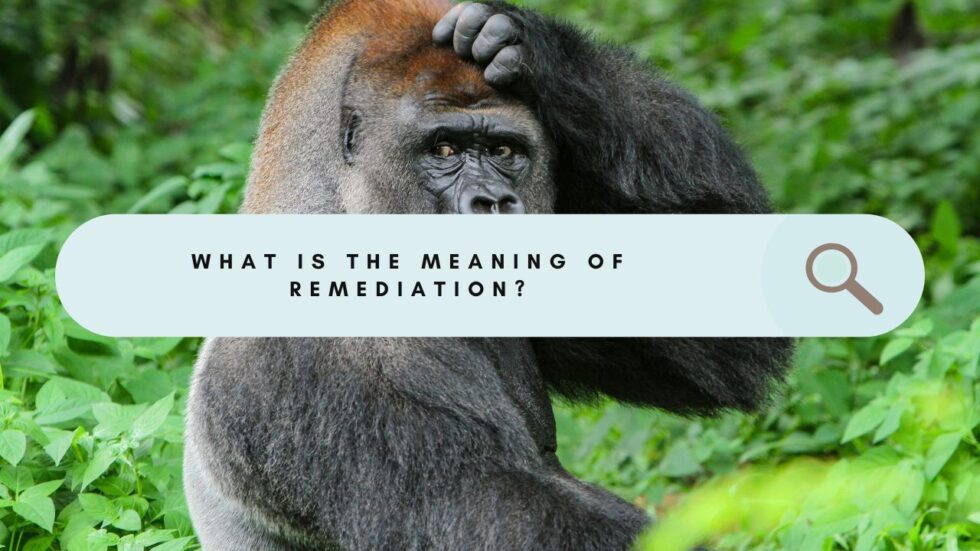 Remediation: Understanding the Word - Delta Remediation