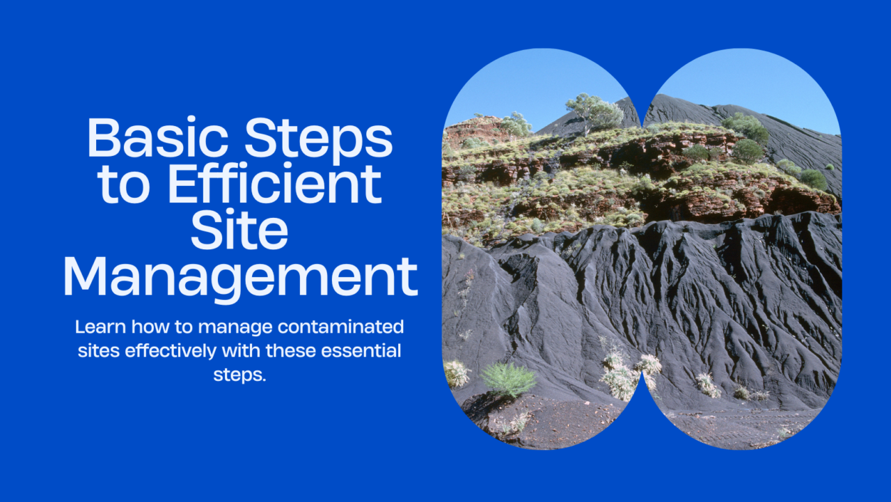 Effective Management of Contaminated Sites: A Step-by-Step Guide ...